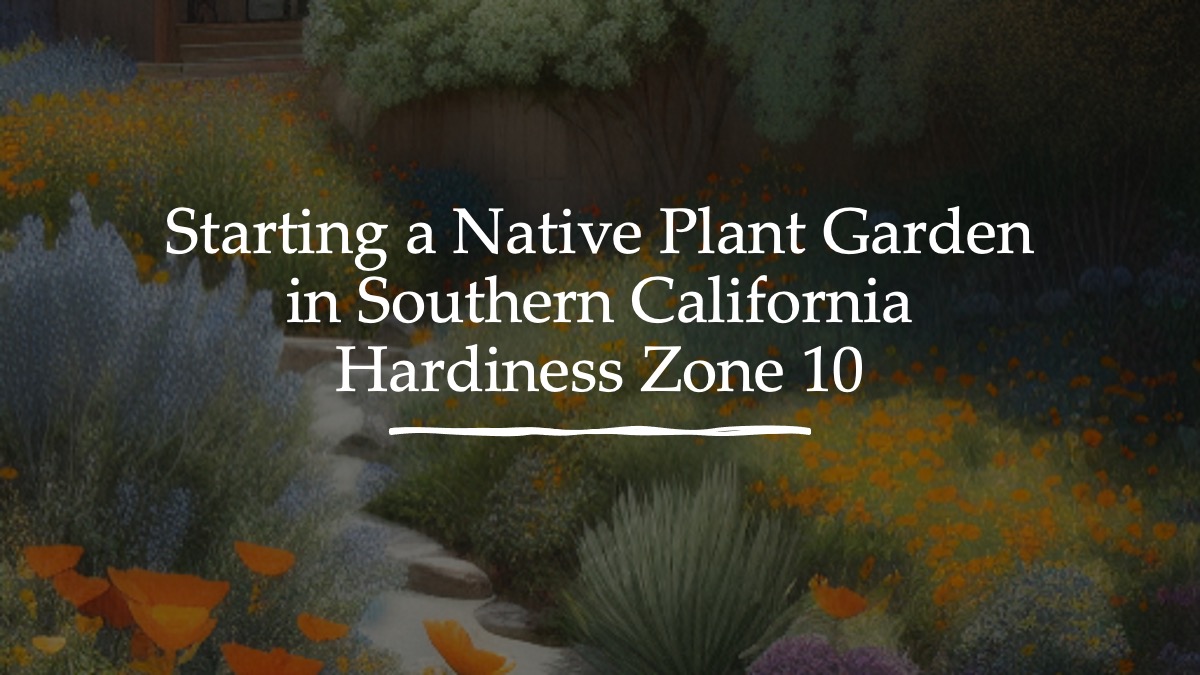 Starting a Native Plant Garden in Southern California Hardiness Zone 10 ...