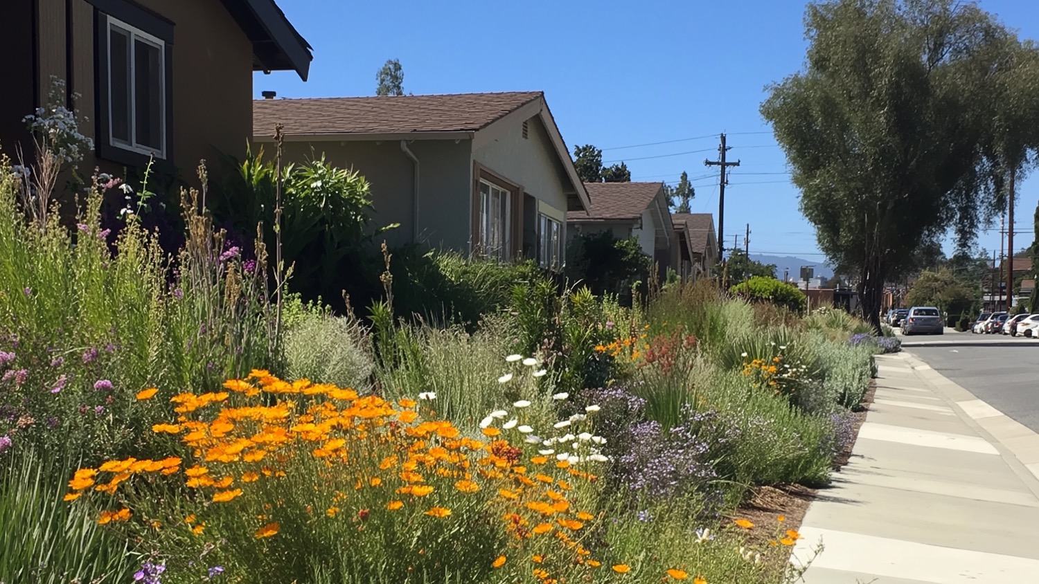 The Benefits of California Native Plants for Fire-Resilient Landscaping ...